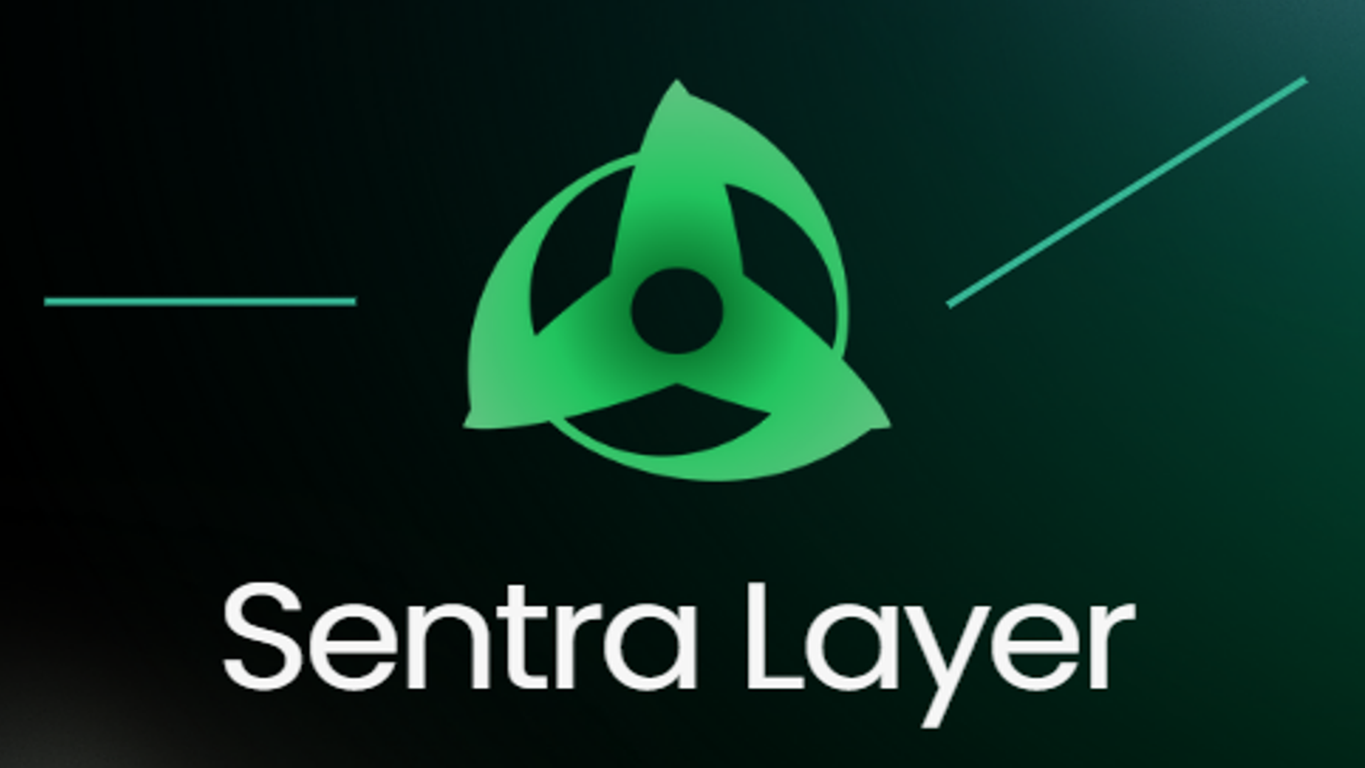 VNBase Case Study: Designing a Sovereign Layer-1 Blockchain | AnyAxis Labs